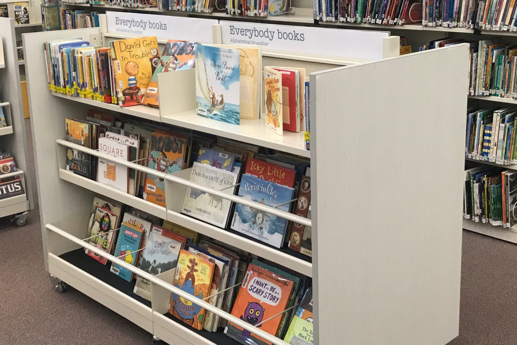 Browsing Bins + Flat Shelf – LFI Education